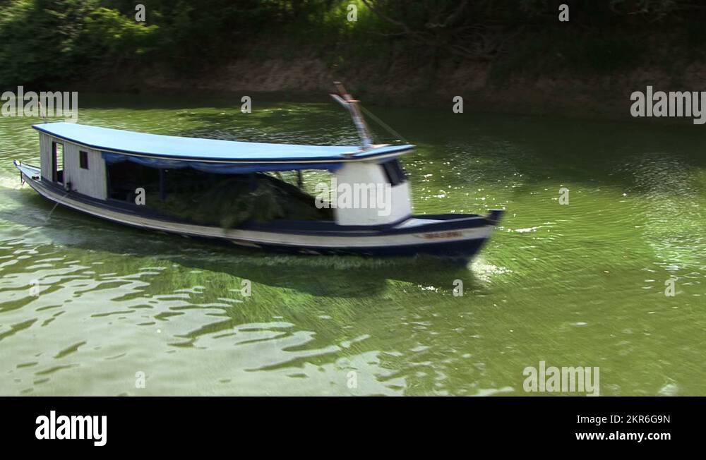 Algae in boat Stock Videos & Footage - HD and 4K Video Clips - Alamy