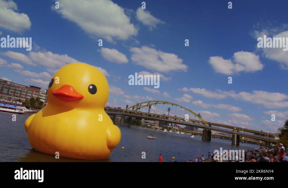 Rubber duck river Stock Videos & Footage - HD and 4K Video Clips - Alamy