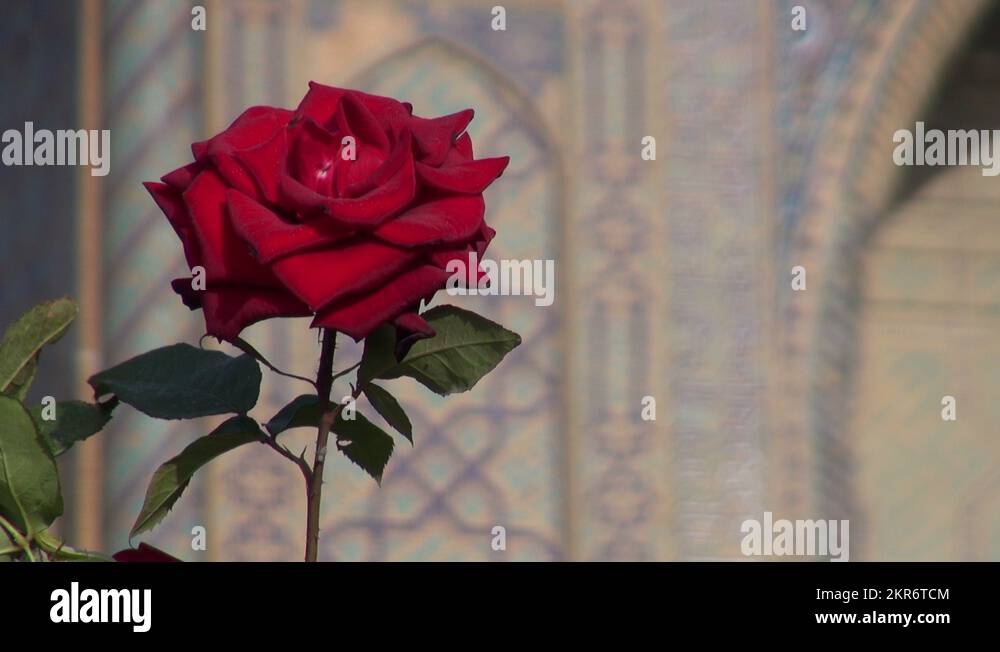 Rose ancient building Stock Videos & Footage - HD and 4K Video Clips ...