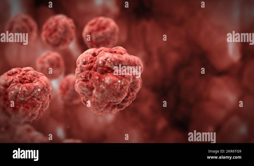 Inside human body,red blood cells,highly detailed texture Stock Video ...