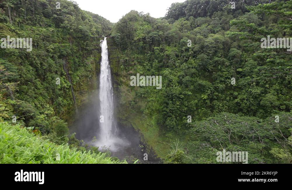 Hawaii akaka Stock Videos & Footage - HD and 4K Video Clips - Alamy