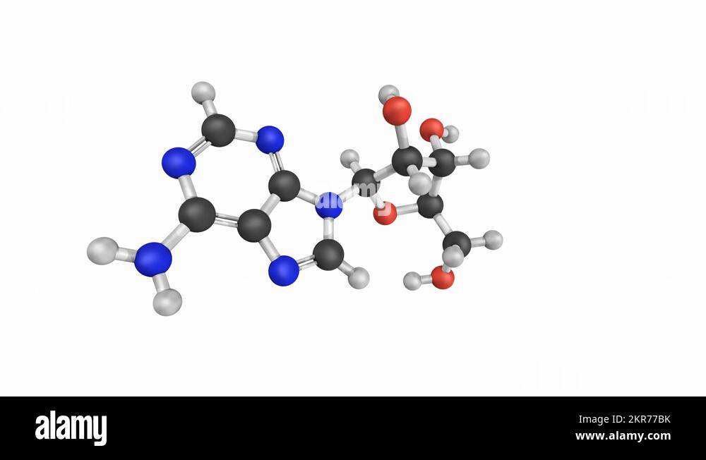 adenosine (a) nucleoside molecule, chemical structure (part of dna ...