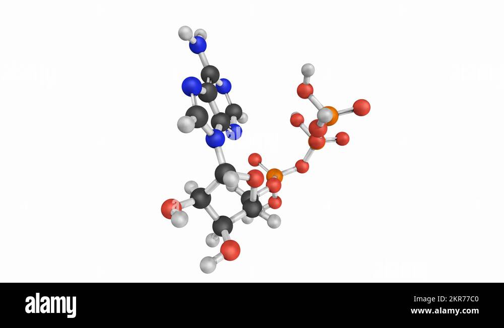 Molecule of atp Stock Videos & Footage - HD and 4K Video Clips - Alamy