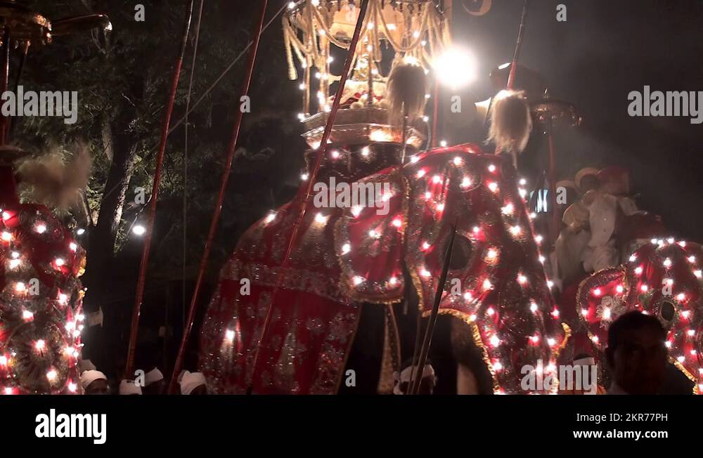 Casket with the relic of the Buddha Tooth on the back of an elephant ...