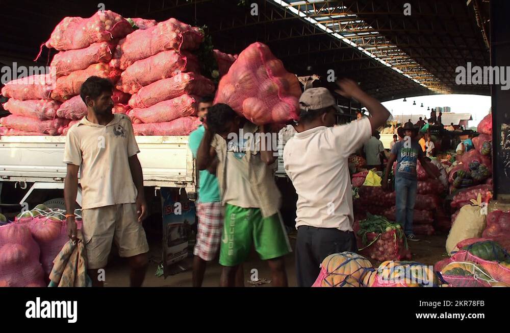 Vegetable loading Stock Videos & Footage - HD and 4K Video Clips - Alamy