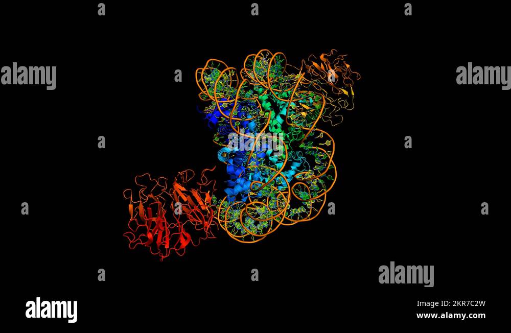 Genetic core Stock Videos & Footage - HD and 4K Video Clips - Alamy
