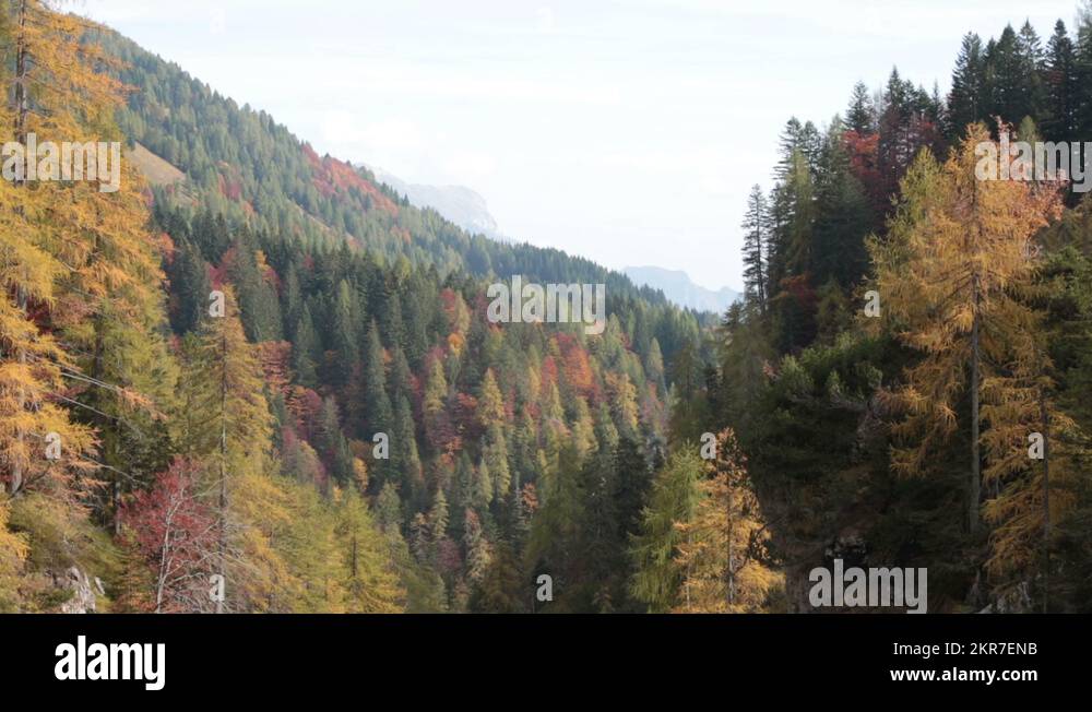 Forest mountain italian alps Stock Videos & Footage - HD and 4K Video ...
