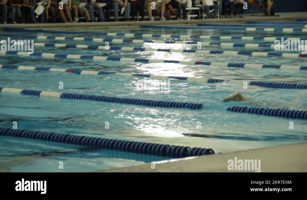 Swim award Stock Videos & Footage - HD and 4K Video Clips - Alamy
