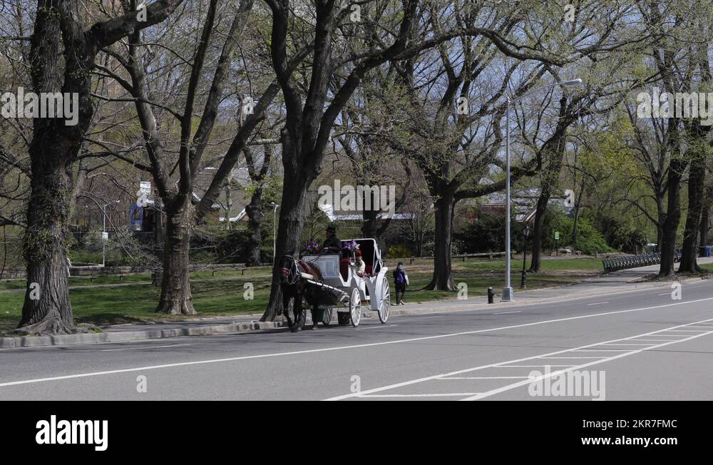 New York City People Enjoy Carriage Ride Central Park Horse-Drawn Early ...