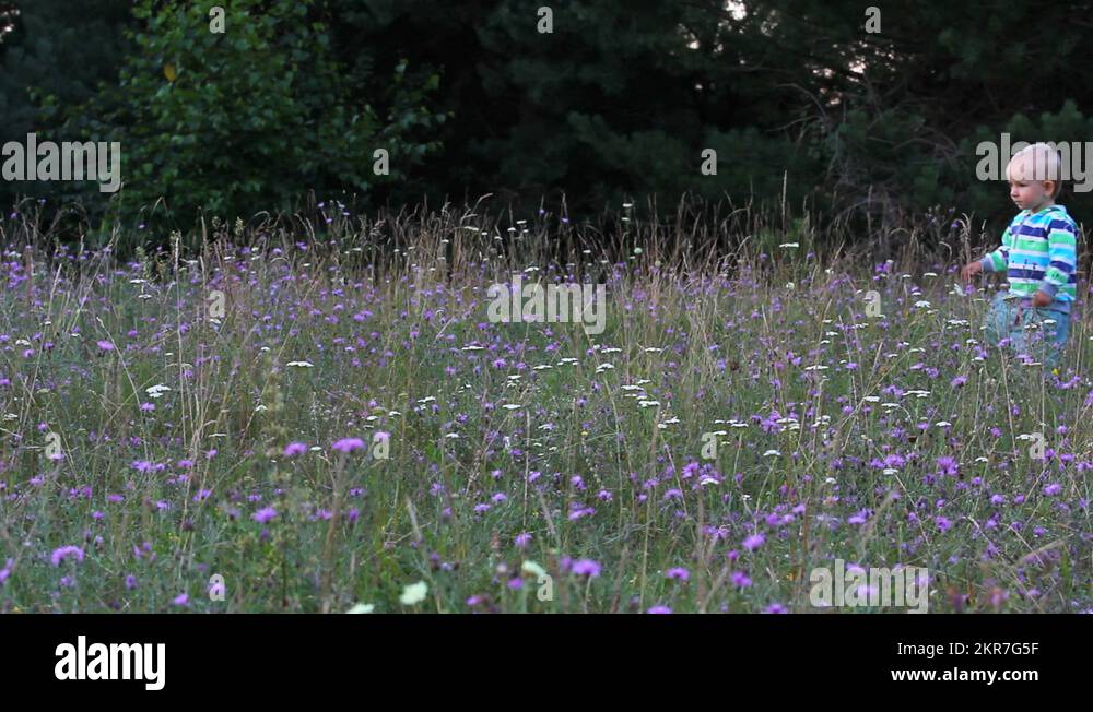Man little boy walk Stock Videos & Footage - HD and 4K Video Clips - Alamy
