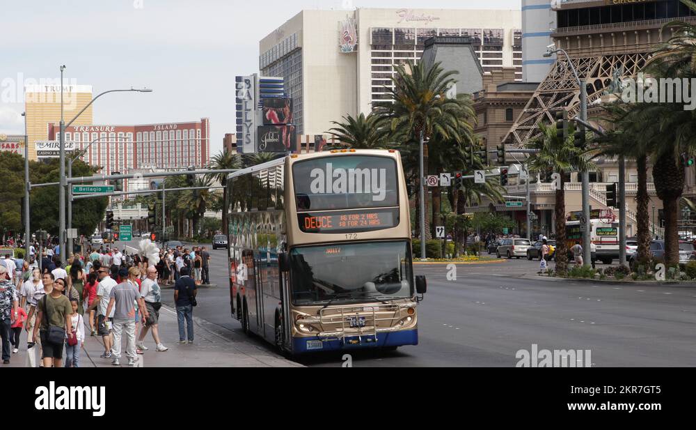 Ultra HD 4K Public Transportation Bus Station, Crowds, Tourists Las ...