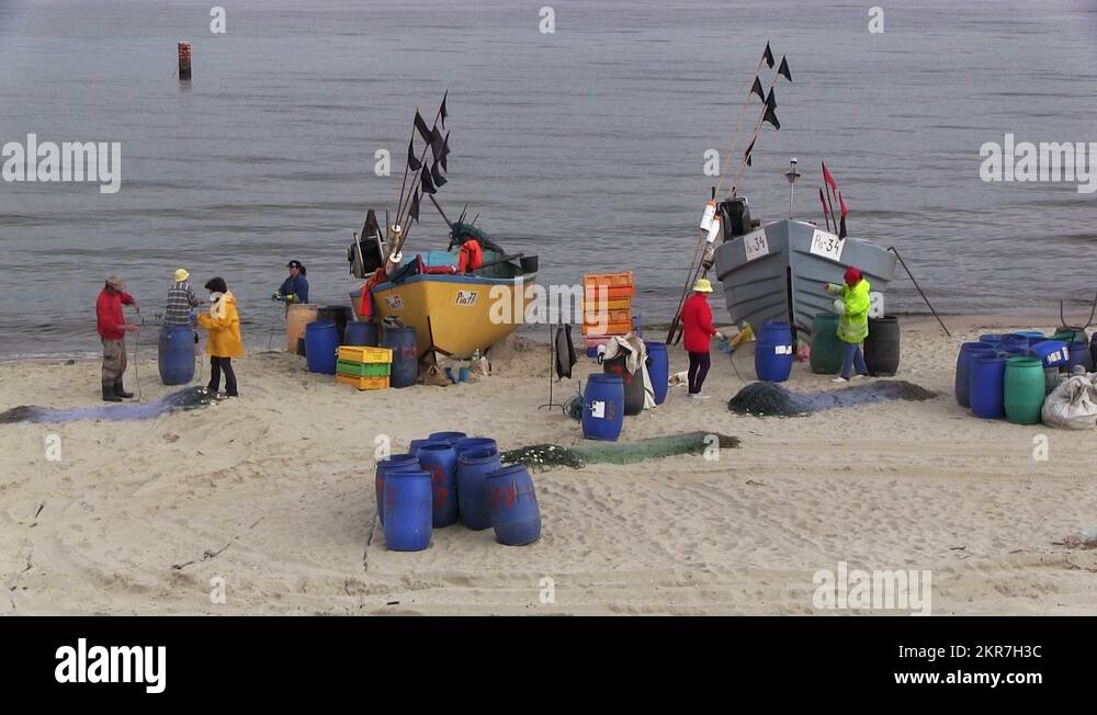 Baltic fish Stock Videos & Footage - HD and 4K Video Clips - Alamy