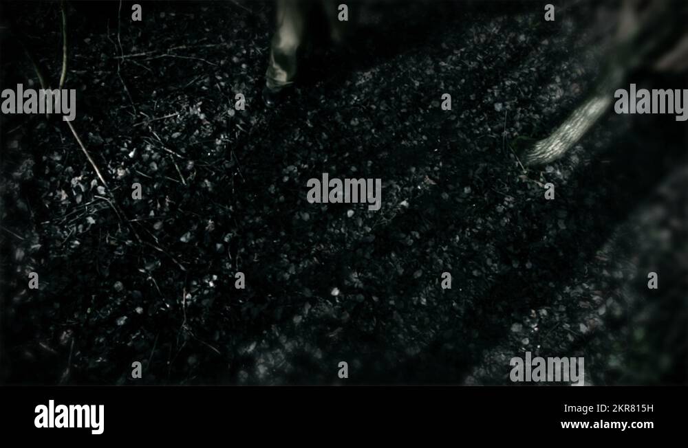 Army soldier uniform dead body death carrying Stock Videos & Footage ...