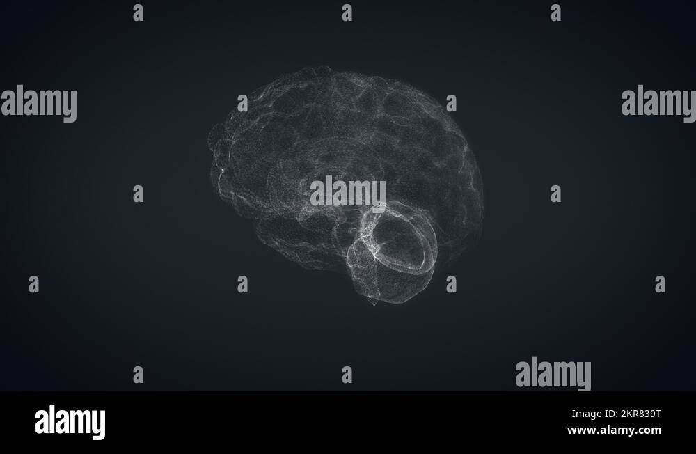 Brain regions Stock Videos & Footage - HD and 4K Video Clips - Alamy