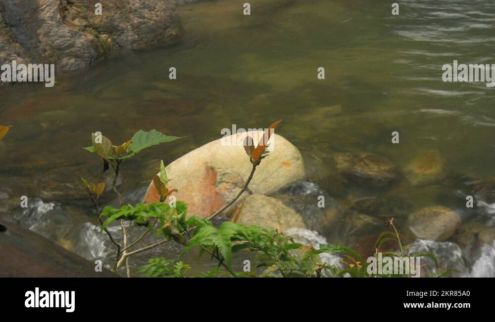 Clear water in a river on the island of Mindoro in the Philippines ...