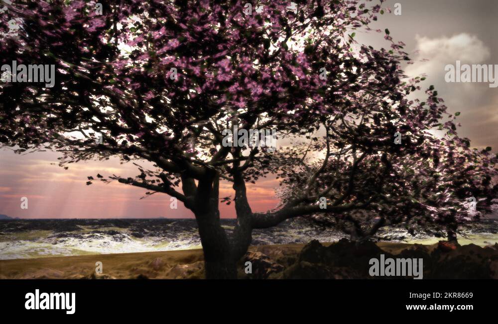 Cherry tree landscape Stock Videos & Footage - HD and 4K Video Clips ...