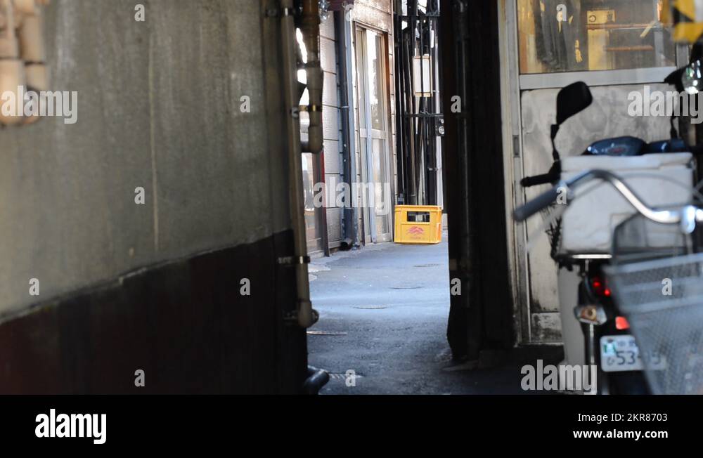 Omoide Yokocho Memory Lane, Shinjuku, Tokyo Stock Video Footage - Alamy