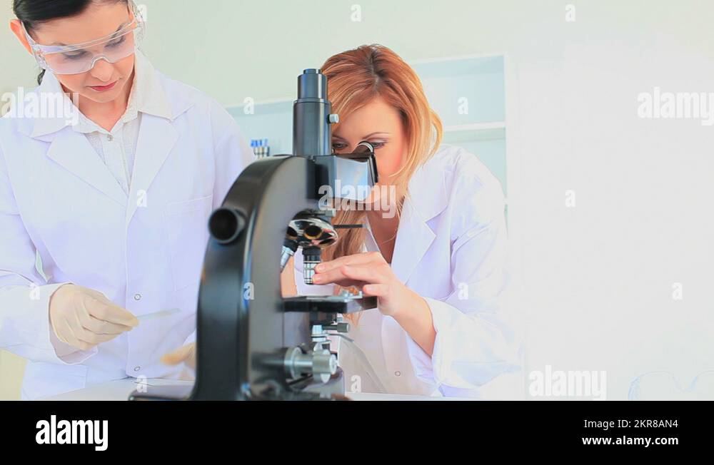 Women laboratory microscope Stock Videos & Footage - HD and 4K Video ...