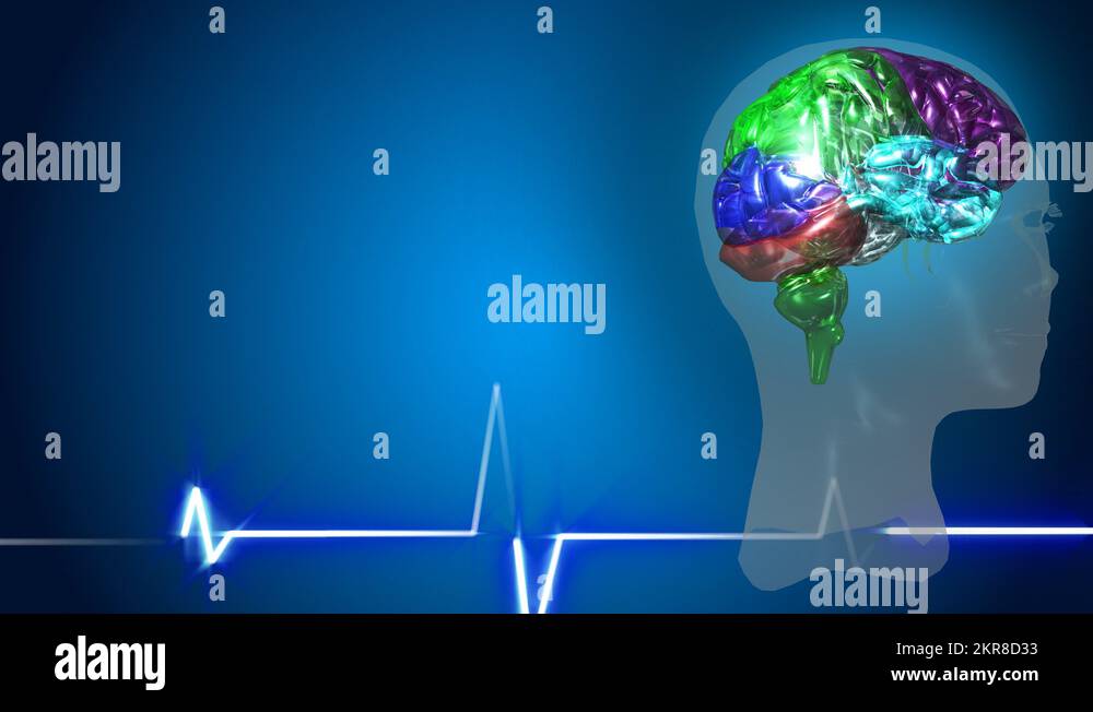 Understanding human physiology Stock Videos & Footage - HD and 4K Video ...