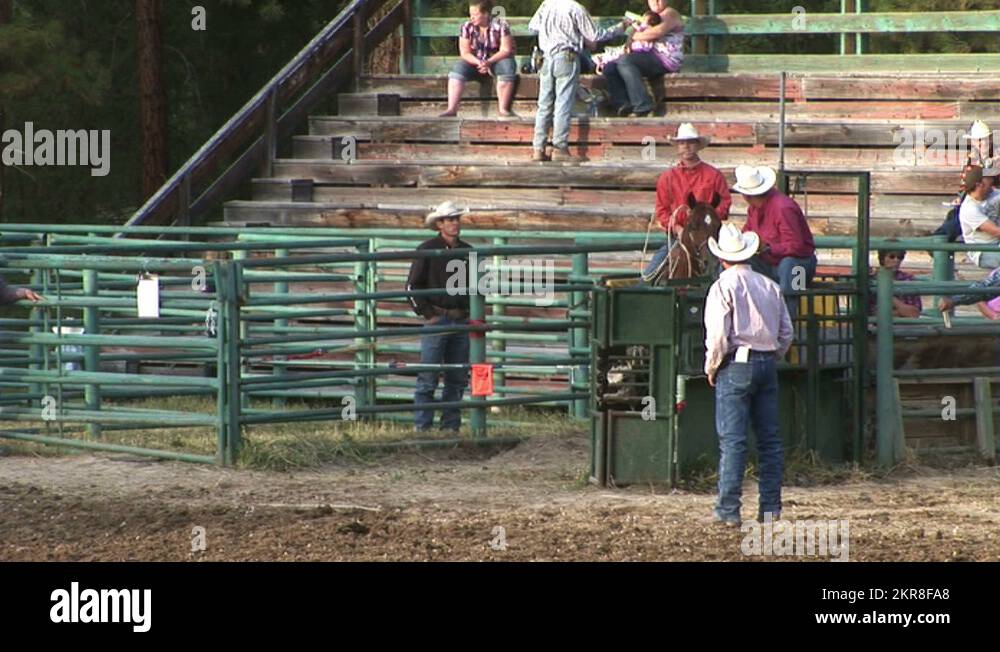 Cowboy roping Stock Videos & Footage - HD and 4K Video Clips - Alamy