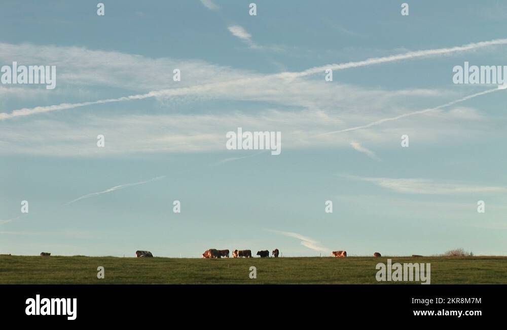 Very big sky Stock Videos & Footage - HD and 4K Video Clips - Alamy