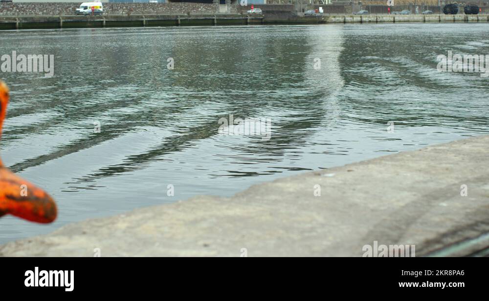 Wind ripples water Stock Videos & Footage - HD and 4K Video Clips - Alamy
