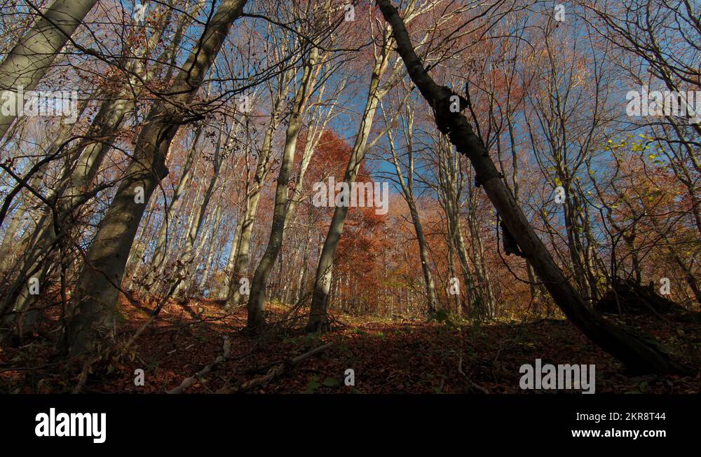 Daytime daylight shadows Stock Videos & Footage - HD and 4K Video Clips ...