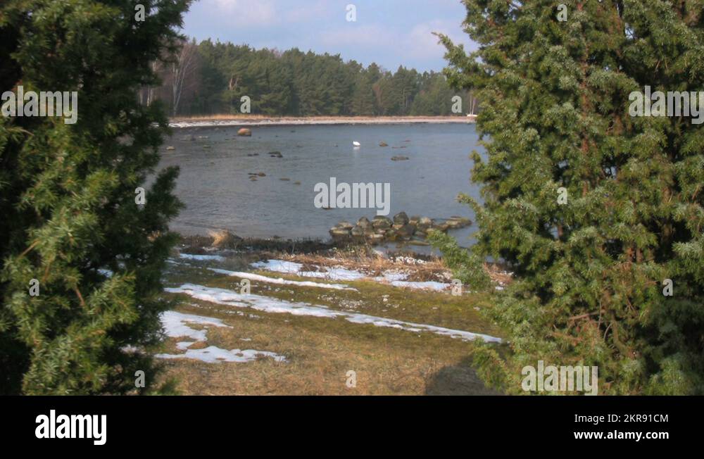 Beach juniper Stock Videos & Footage - HD and 4K Video Clips - Alamy