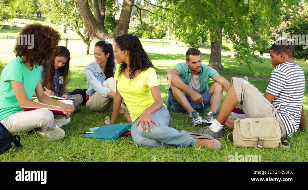 Happy students on campus Stock Videos & Footage - HD and 4K Video Clips ...