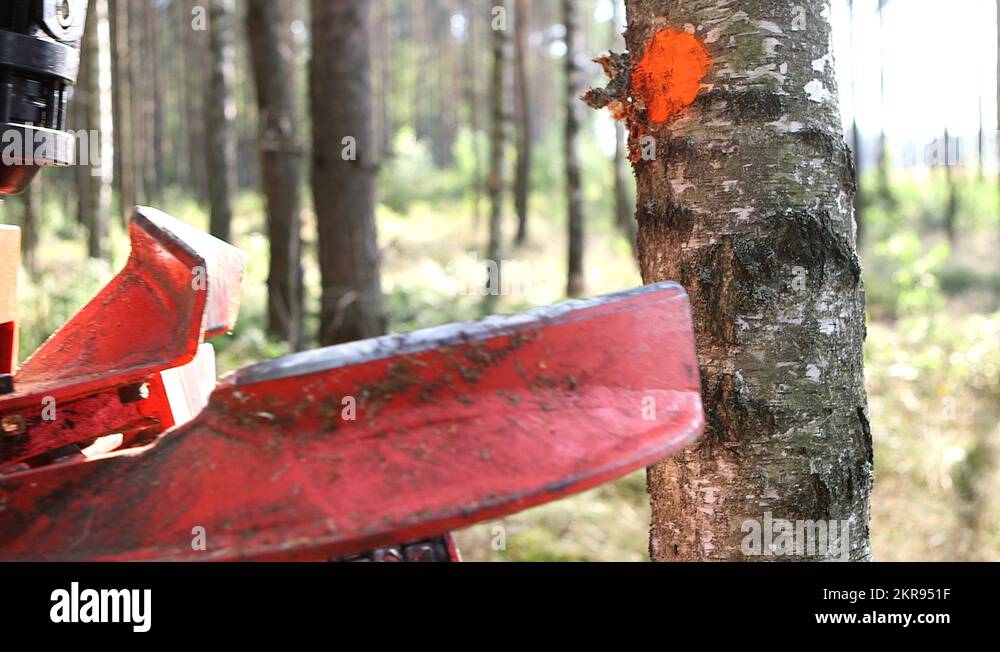 Forestry use Stock Videos & Footage - HD and 4K Video Clips - Alamy
