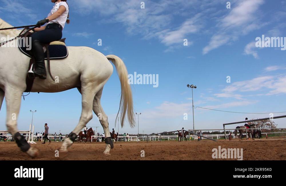 Learn horse riding Stock Videos & Footage - HD and 4K Video Clips - Alamy