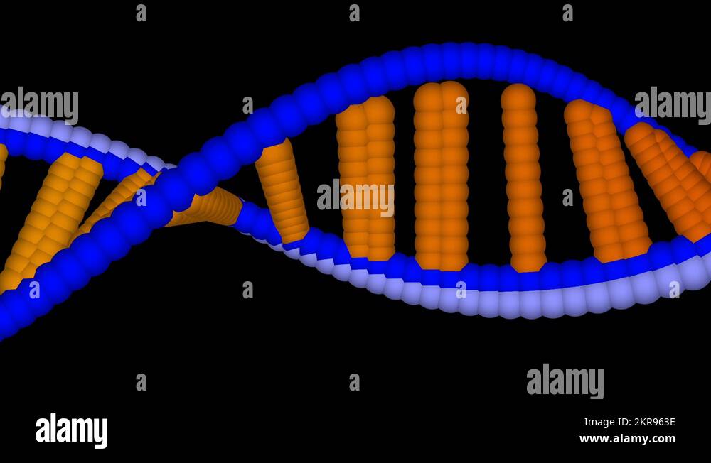 Adn structure Stock Videos & Footage - HD and 4K Video Clips - Alamy