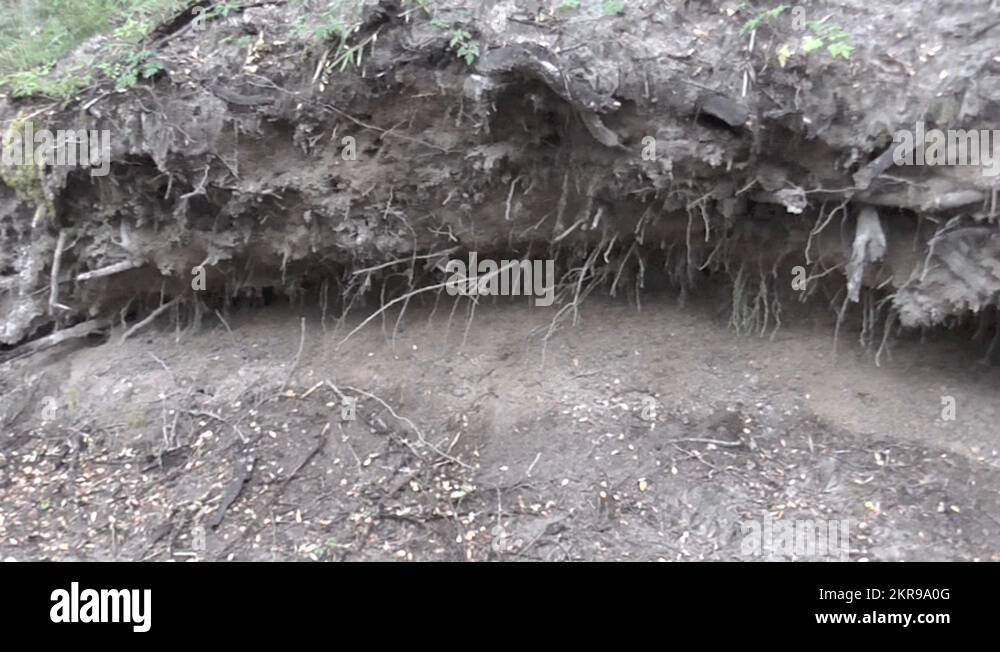 Land textures Stock Videos & Footage - HD and 4K Video Clips - Alamy