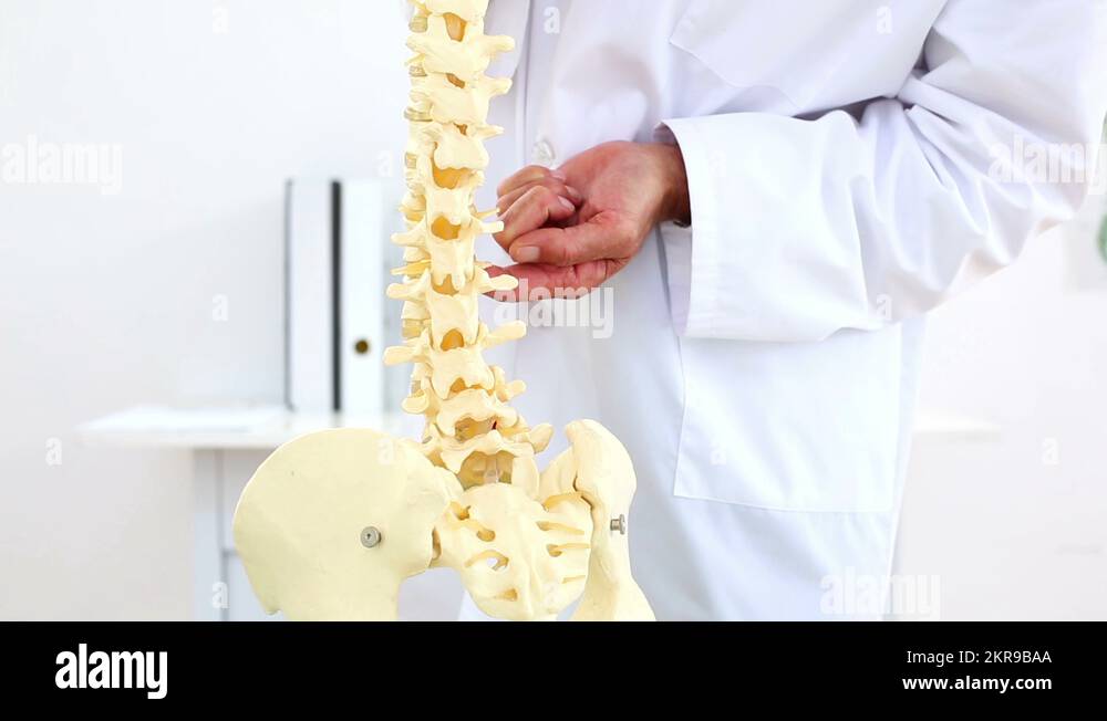 Camera and an skeleton Stock Videos & Footage - HD and 4K Video Clips ...