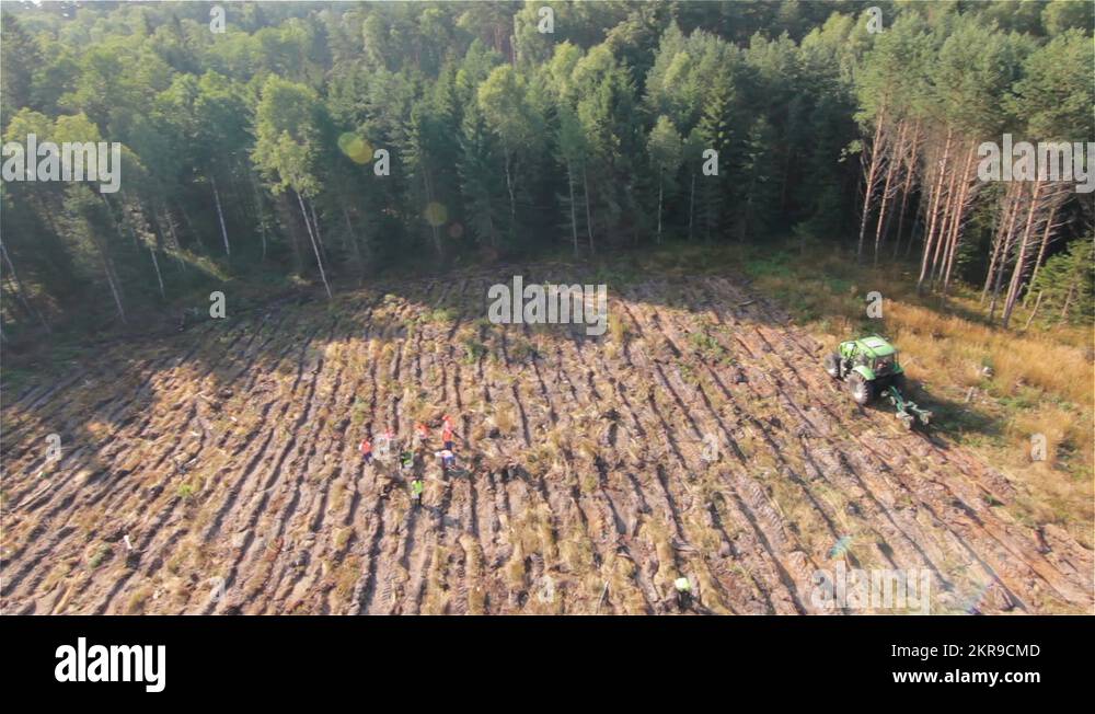 Planting forest Stock Videos & Footage - HD and 4K Video Clips - Alamy