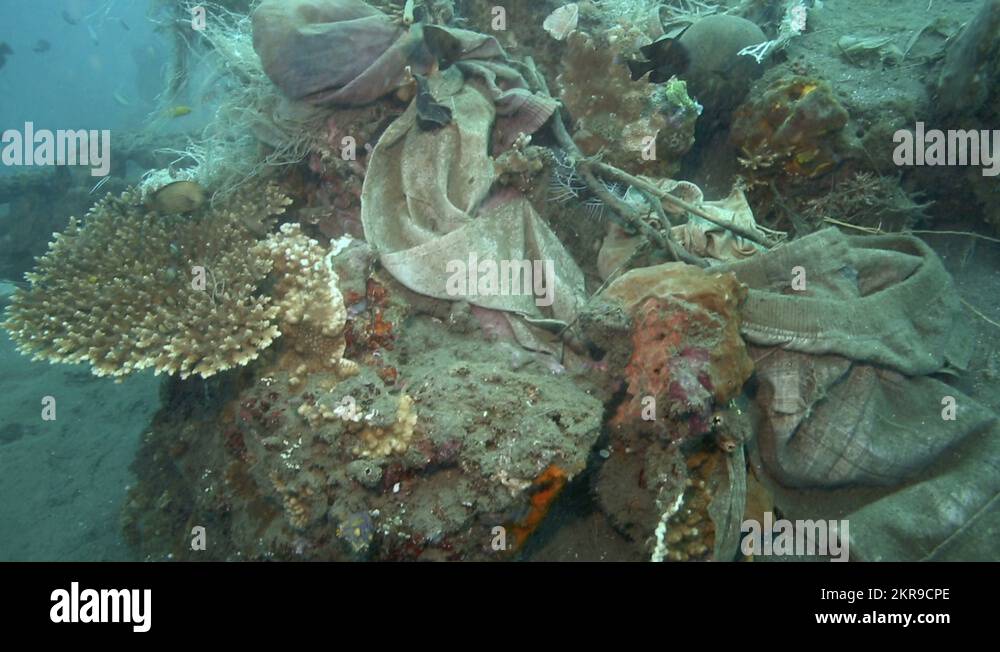 Tangled materials Stock Videos & Footage - HD and 4K Video Clips - Alamy