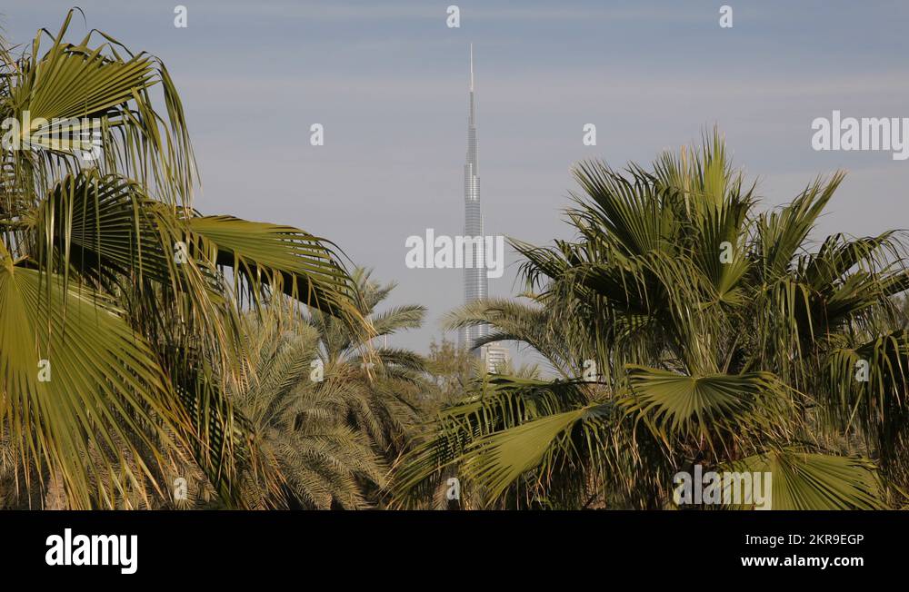 World Tallest Building Famous Burj Khalifa Iconic Dubai Skyline Exotic ...