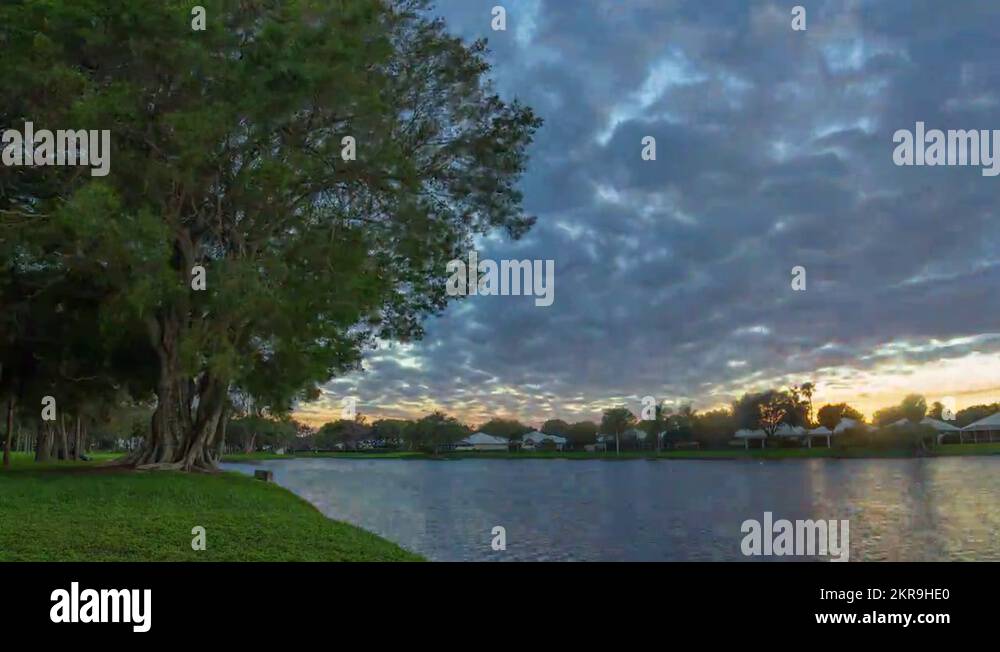 Florida resident Stock Videos & Footage - HD and 4K Video Clips - Alamy