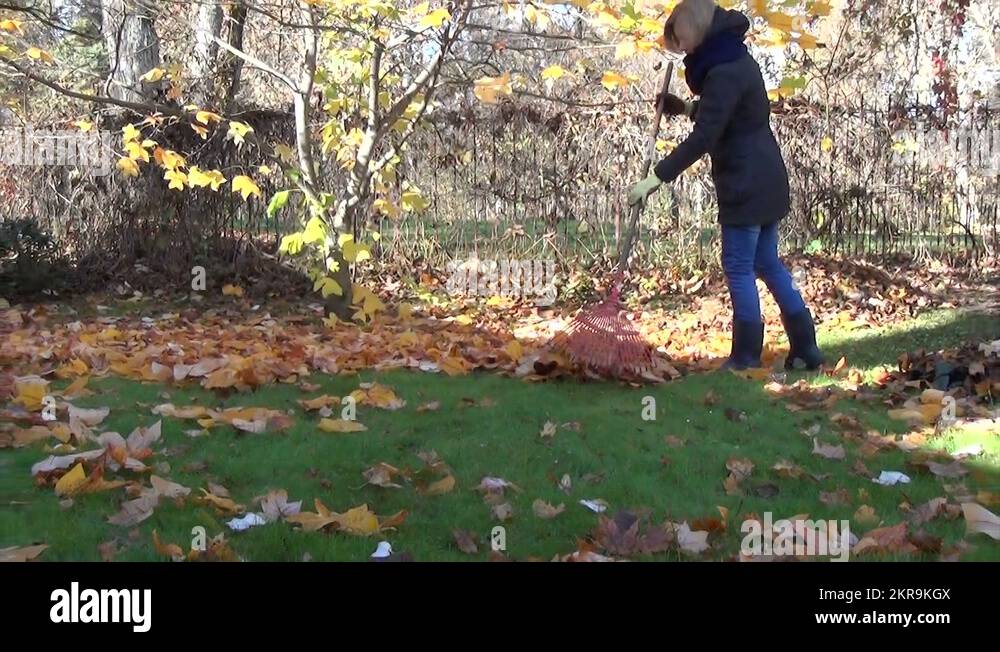 Rake in pile Stock Videos & Footage - HD and 4K Video Clips - Alamy