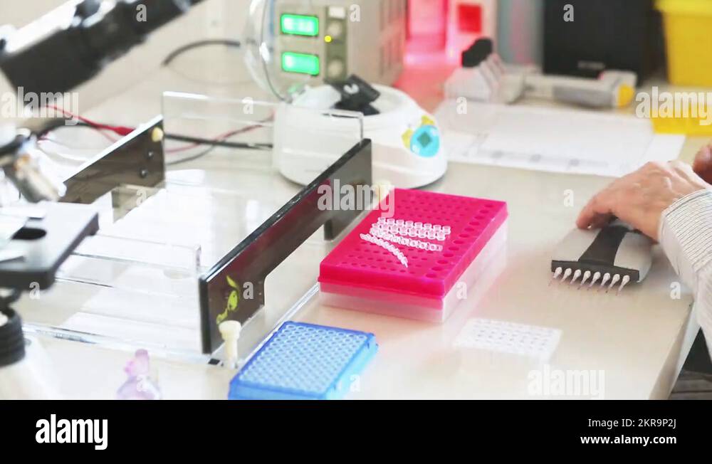 Sample preparation of dna Stock Videos & Footage - HD and 4K Video ...