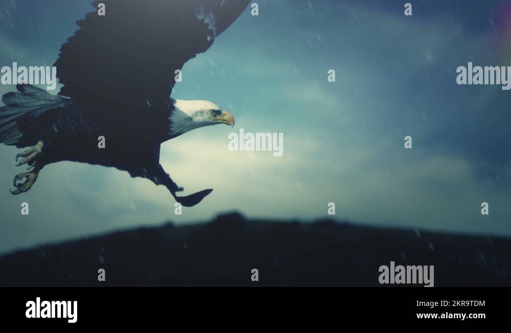 Lightning eagle Stock Videos & Footage - HD and 4K Video Clips - Alamy