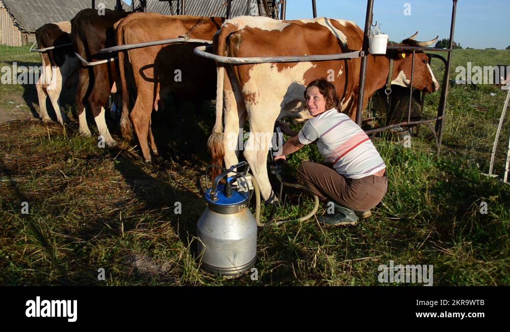 farmer using new technologies in milking cows on the farm Stock Video ...