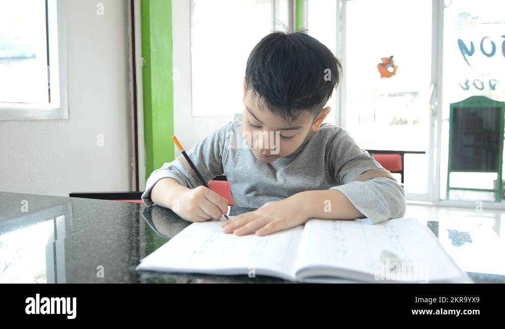 Revision asian boy Stock Videos & Footage - HD and 4K Video Clips - Alamy