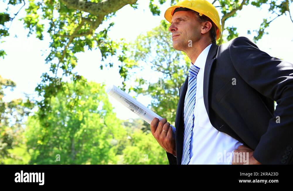 Envisioning Stock Videos & Footage - HD and 4K Video Clips - Alamy