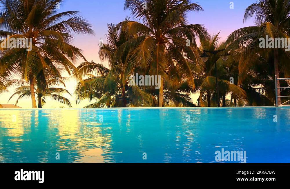 Luxury hotel pool with blue water and palm trees around. Tropical ...
