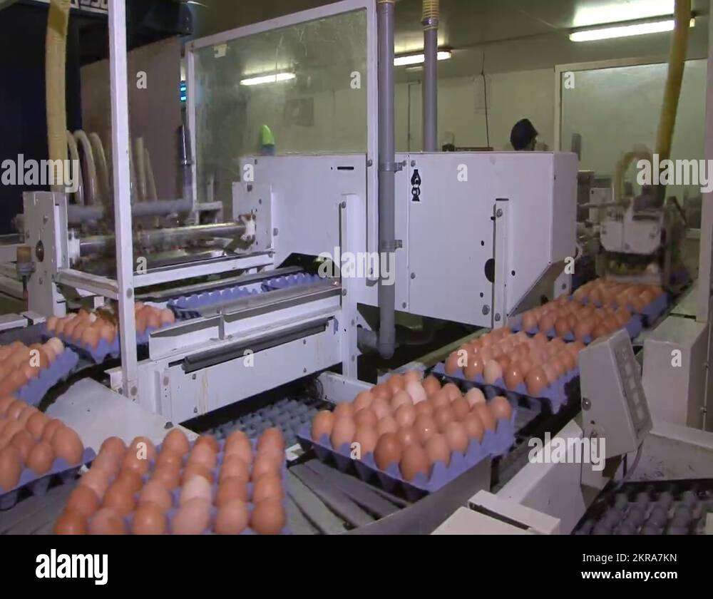 Packing plant Stock Videos & Footage - HD and 4K Video Clips - Alamy