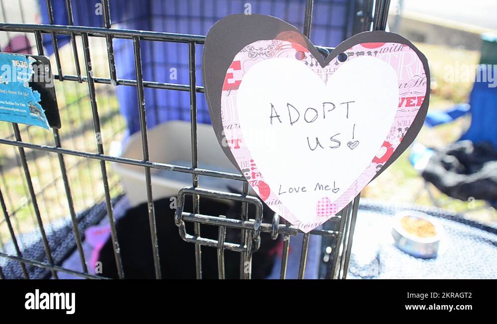 Do adoption Stock Videos & Footage - HD and 4K Video Clips - Alamy