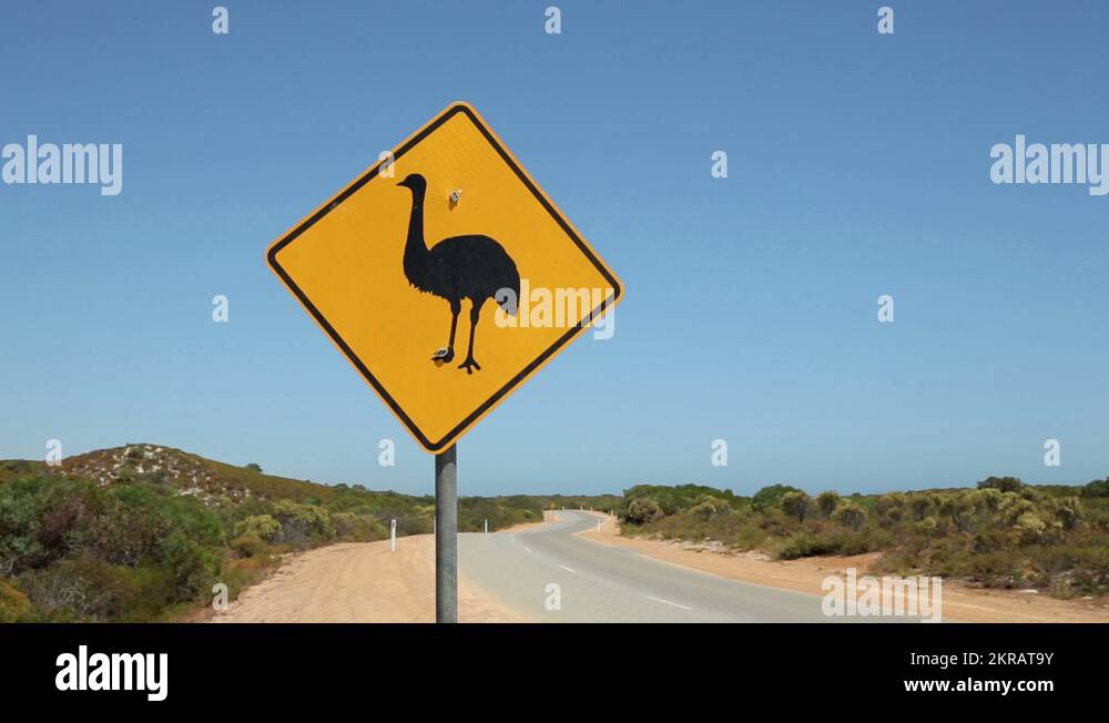 Animal crossing road sign australia Stock Videos & Footage - HD and 4K ...