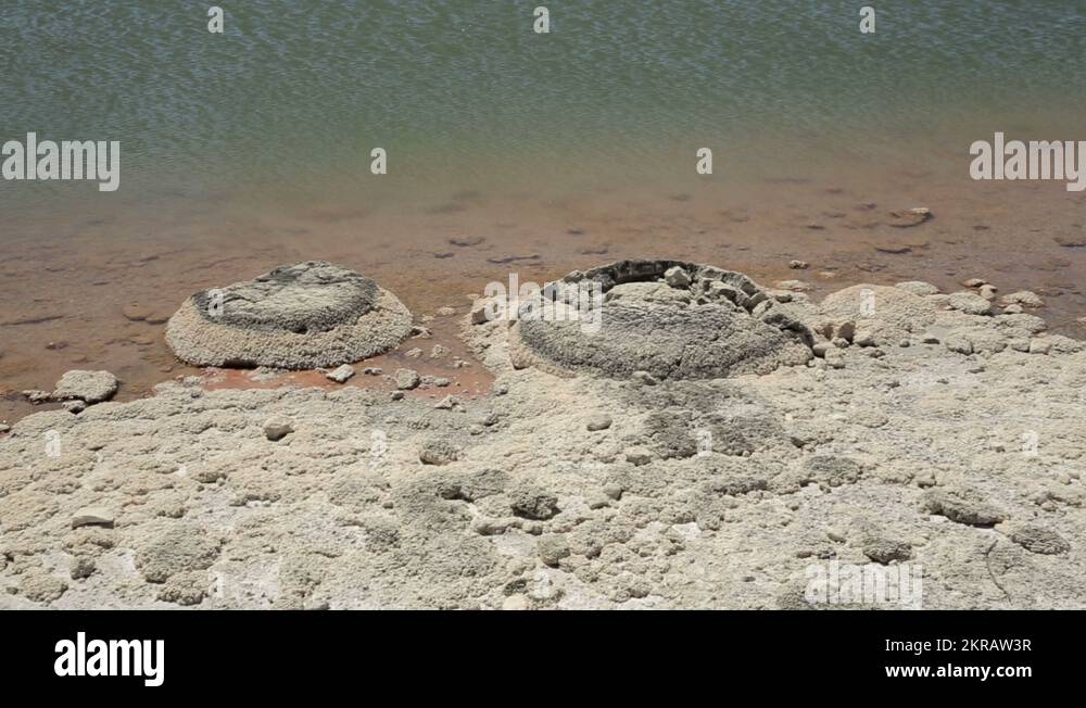 Stromatolites cyanobacteria Stock Videos & Footage - HD and 4K Video ...