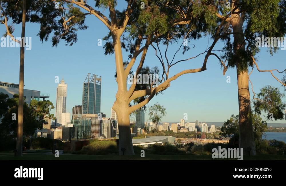 perth skyline and kings park, australia on a sunny day with blue sky ...